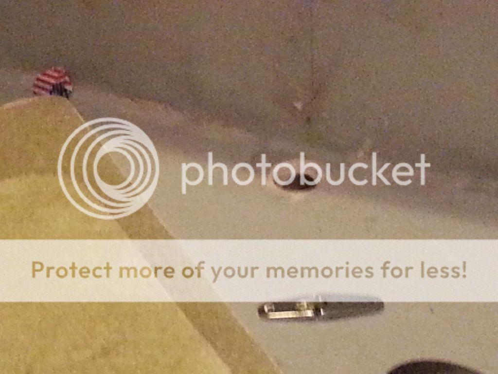 Continuation of a Flats Stalker | Page 5 | Dedicated To The Smallest Of ...